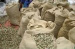 Ghana : Le prix minimum des noix de cajou brutes fixé à 581,87 FCFA le ...